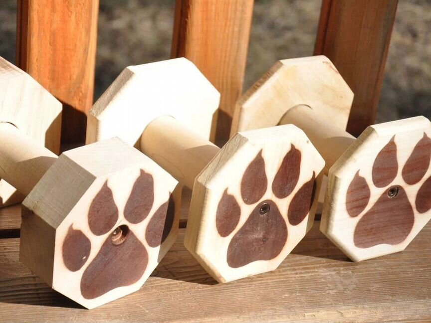 Аппорт для собак