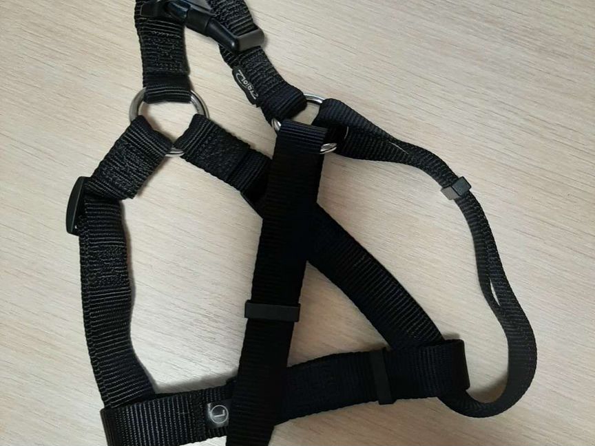 Шлейка для собаки