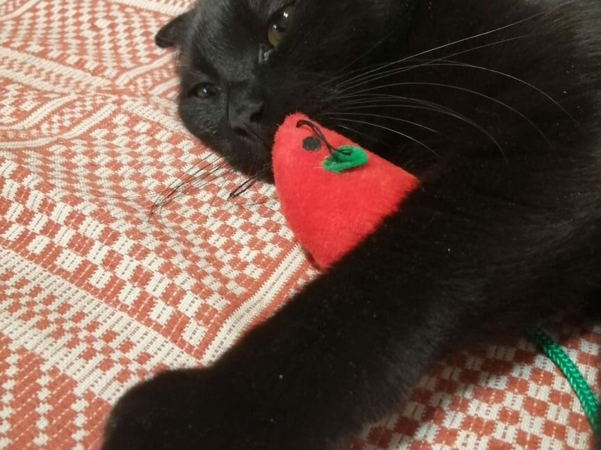 Британская