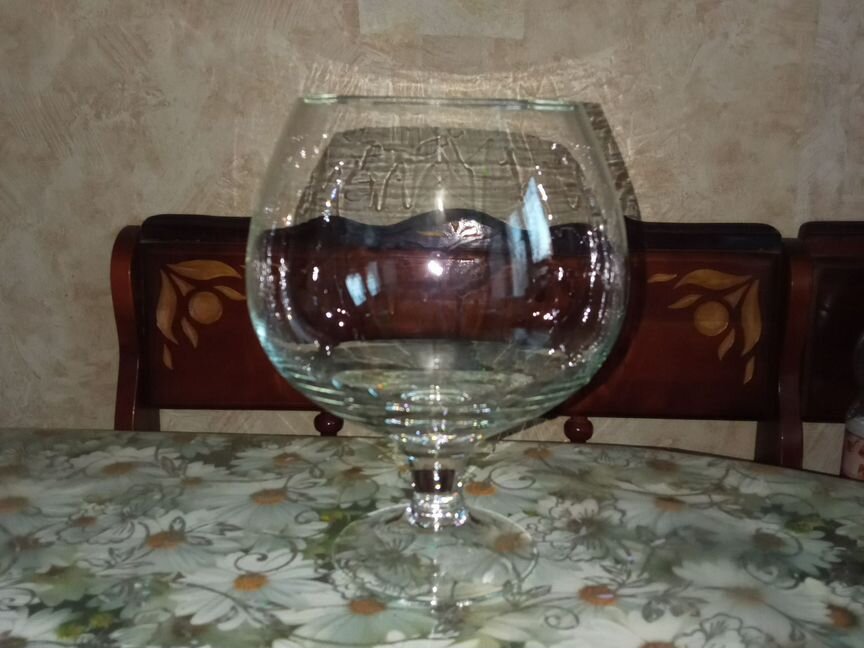 Аквариум бокал