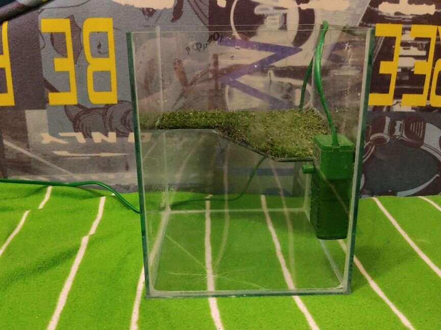 Аквариум для красноухой черепахи