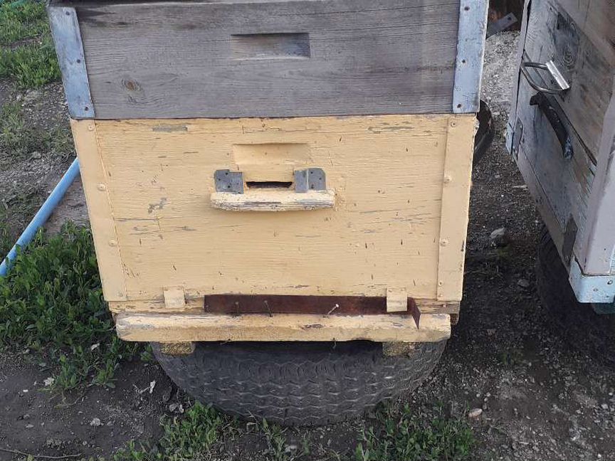 Улей для пчел бу