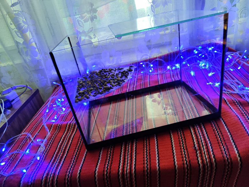 Аквариум для красноухой черепахи