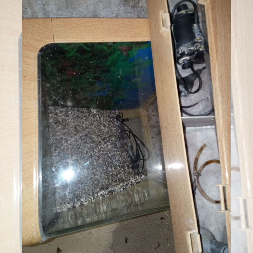 Морской аквариум