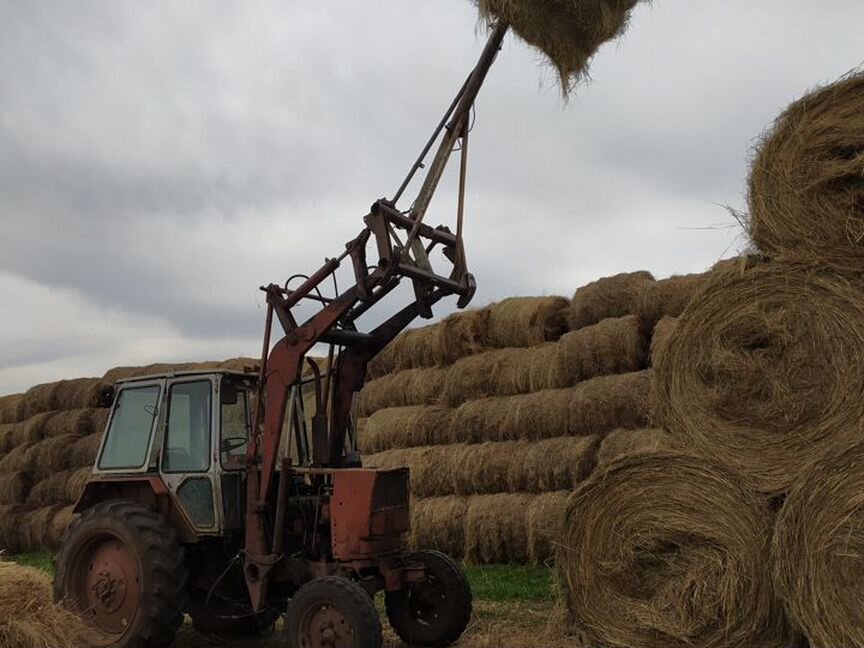 Сено 2023года