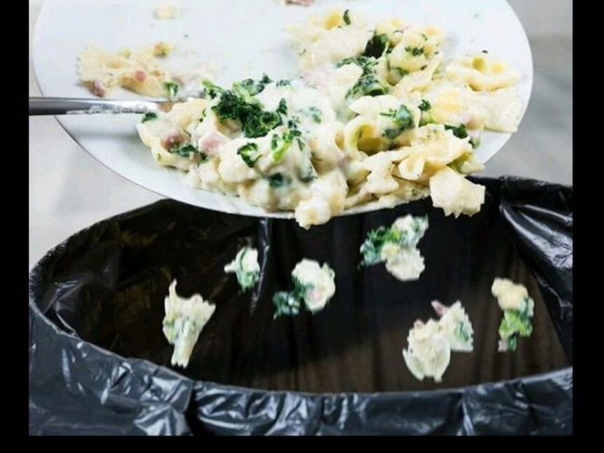 Пищевые отходы для животных