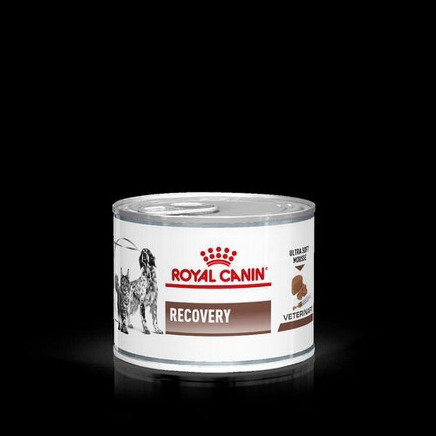 Royal canin recovery
