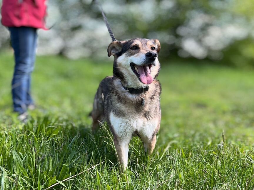 Всю жизнь в приюте бывшедомовская Лада