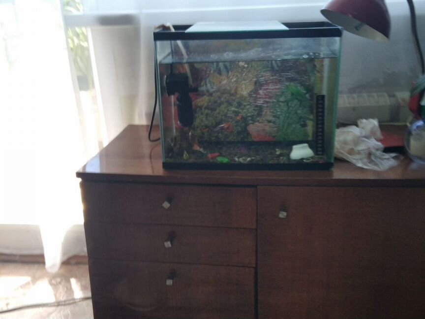 Аквариум с рыбками в добрые руки