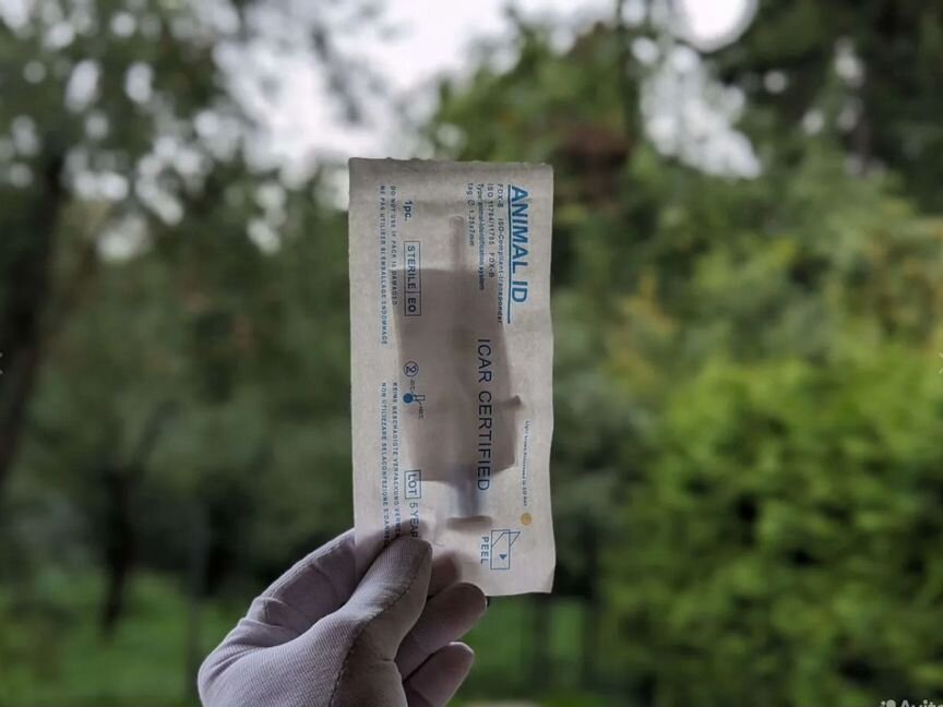 Чипирование Чип для животных 1.25х7 мм