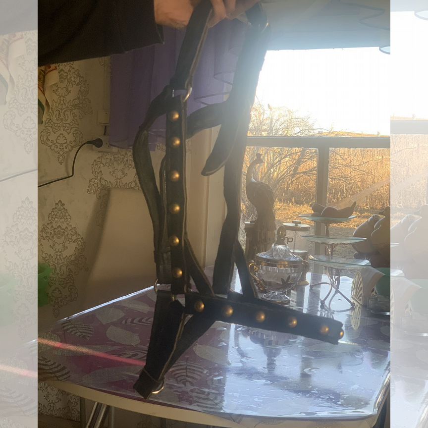 Недоуздок для лошади