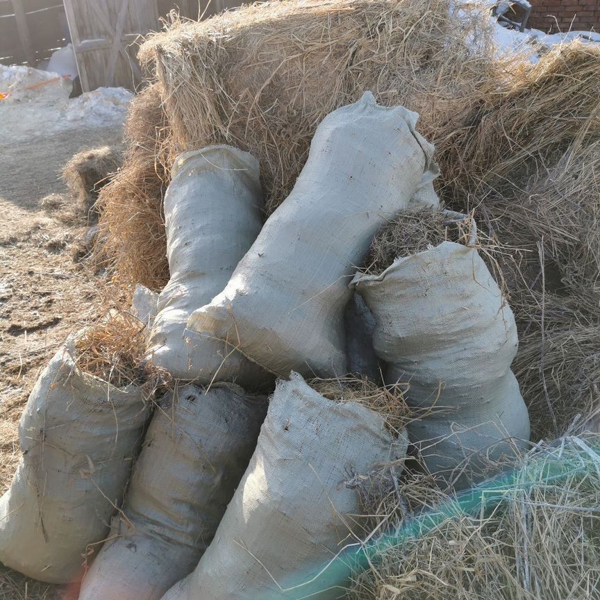 Сено бесплатно