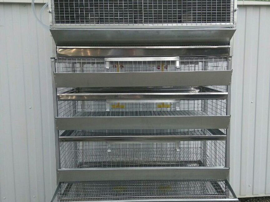 Суточные перепела Мини Ферма для Перепелов