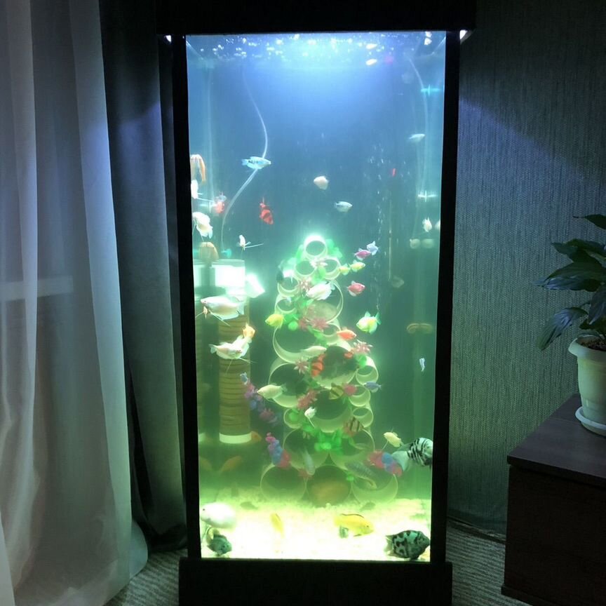 Аквариум с оборудованием и рыбками