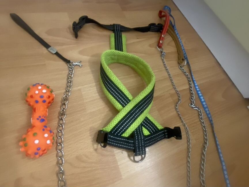 Вещи для маленьких собак