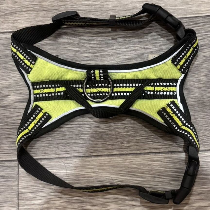 Амуниция для собак