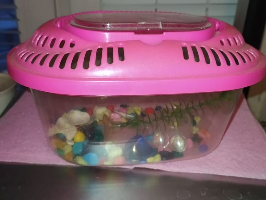 Аквариум маленький