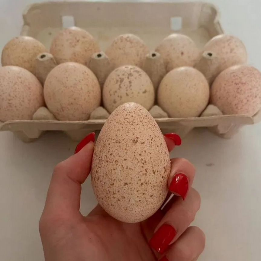 Продам яйцо индюшиное