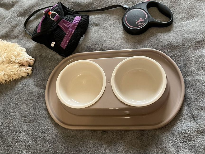 Набор для собак