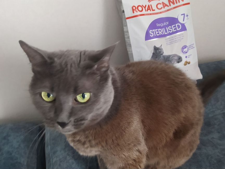 Корм для кошек Royal Canin sterilised 1,5 кг
