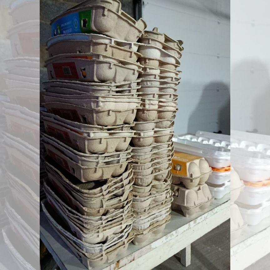 Лотки под яйца