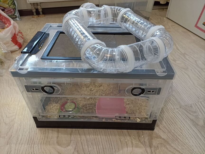 Клетка для хомяка джунгарика и сам хомяк