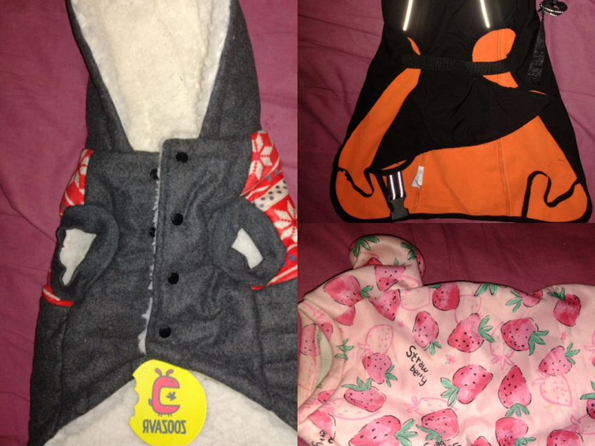 Одежда для собак, поводок биотан