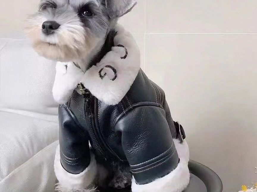 Куртка кожаная для собак мини пород