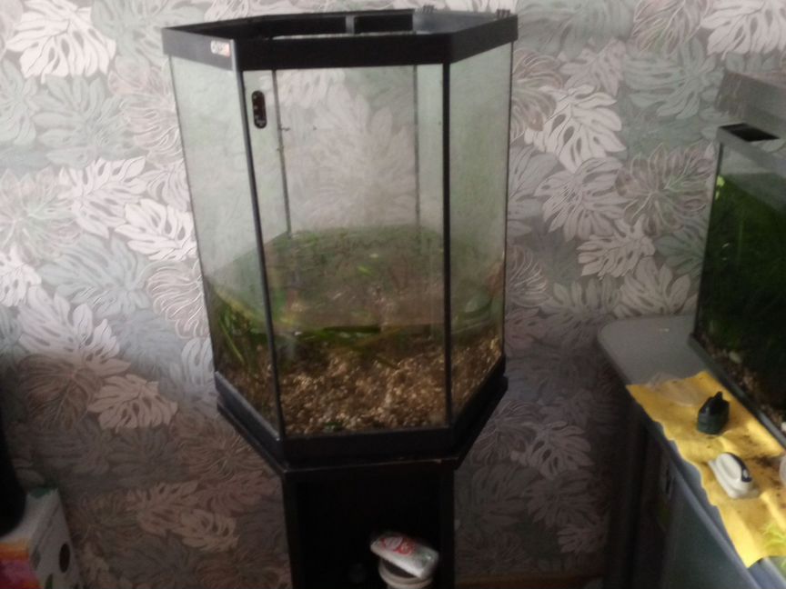 Аквариум 80 литров шестигранник
