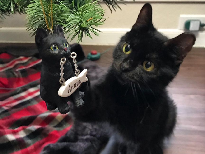 Ласковые новогодние котята. Отличный подарок