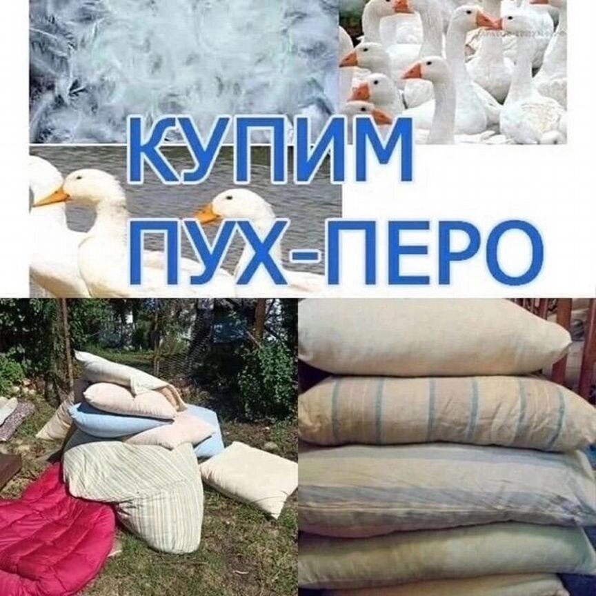 Скупка пуха и пера перин И подушек
