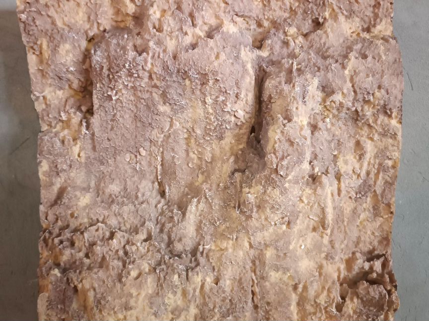 Фон для террариума