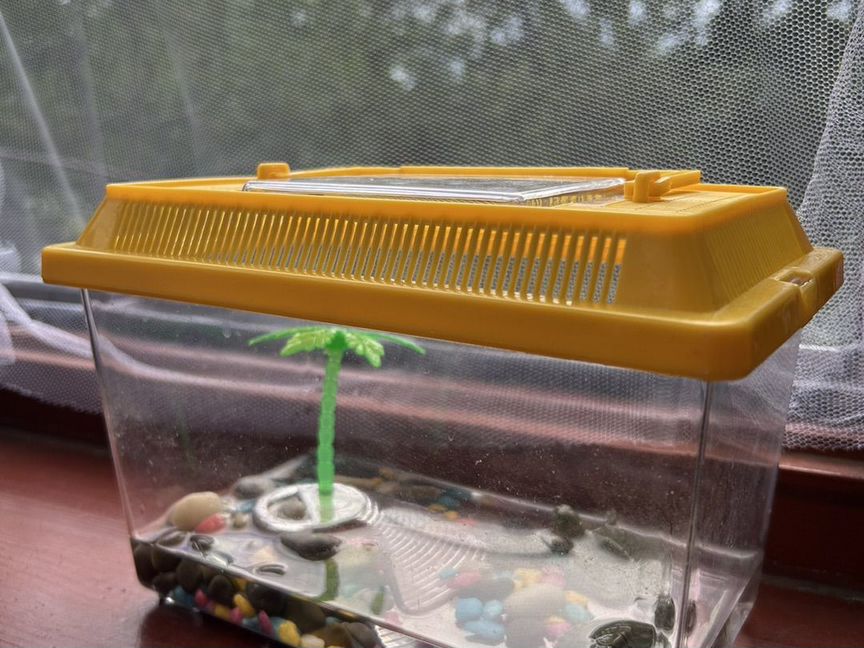 Аквариум для черепах