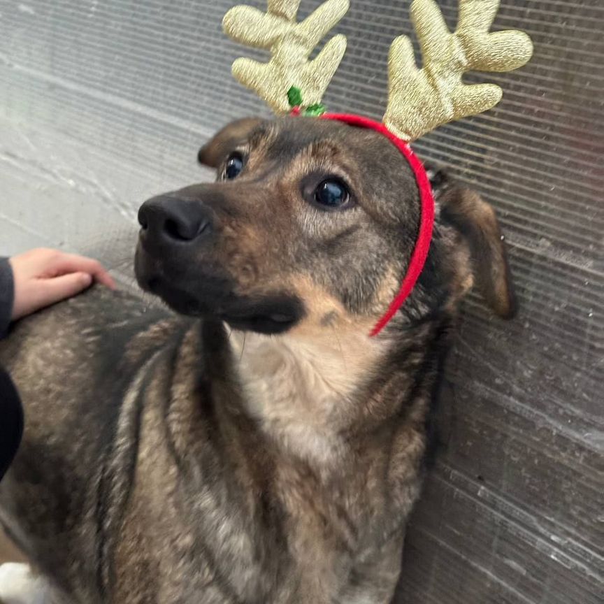 Лили надеется и ждет