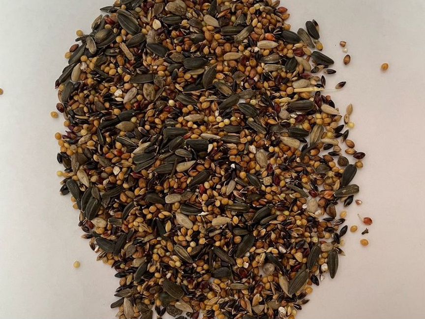 Корм для птиц.Семена диких трав.Разнотравие