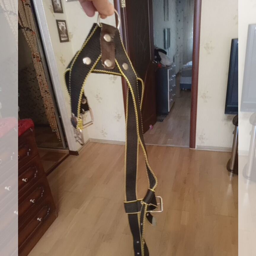 Шлейка для собаки