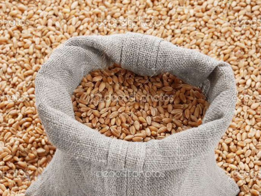 Пшеница, ячмень, кукуруза, комбикорм в мешках