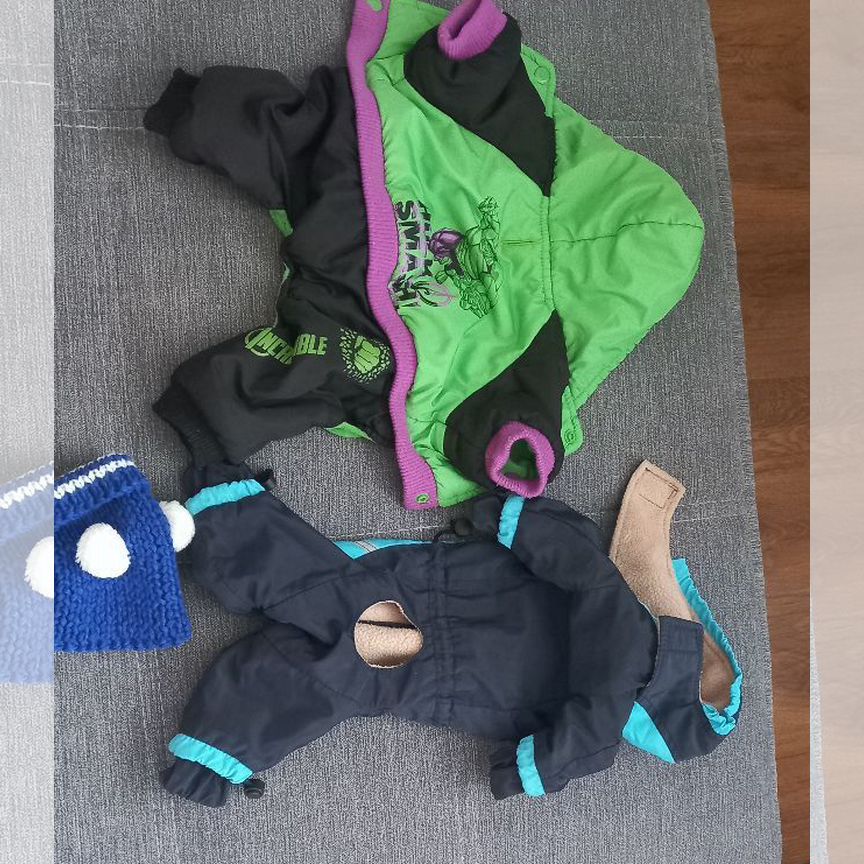 Одежда для собак мелких пород мальчик