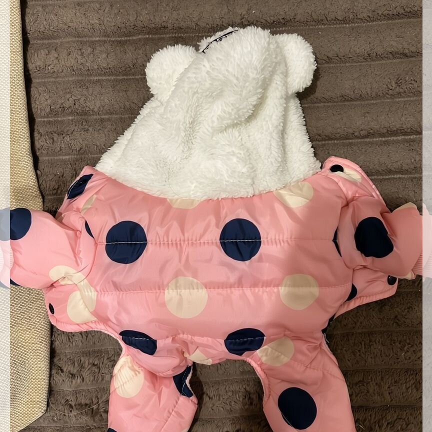 Костюмчик для собаки