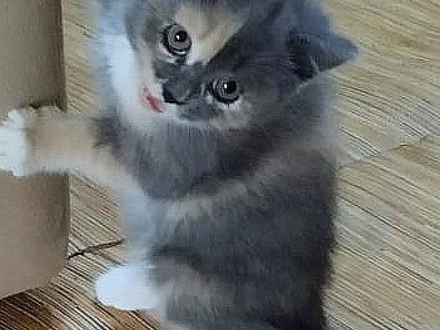 Плюшевая девочка