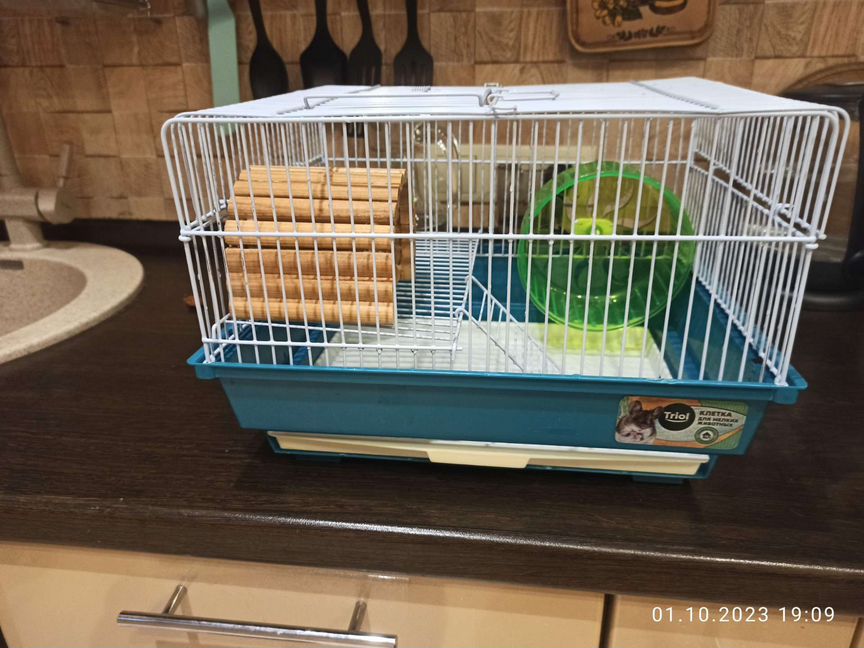 Клетка для грызунов бу