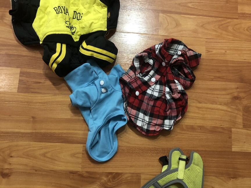 Однжда для маленького йорка