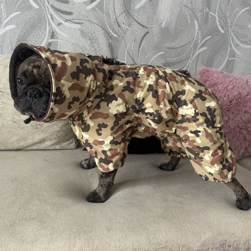Зимний костюм доя французского бульдога