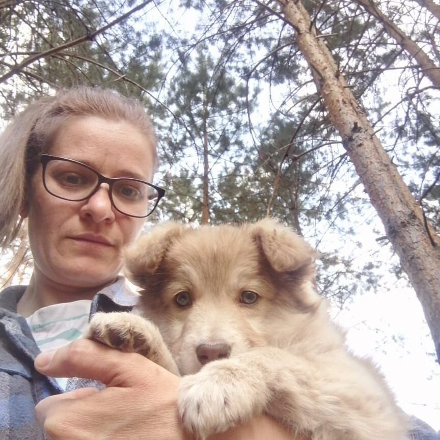 Щенок 2 месяца