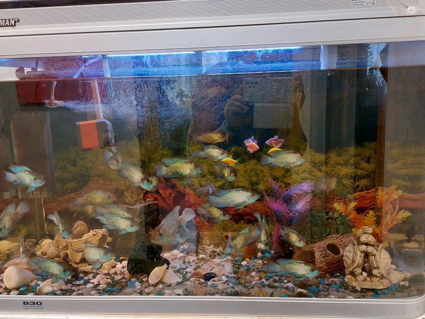 Аквариум 180 литров