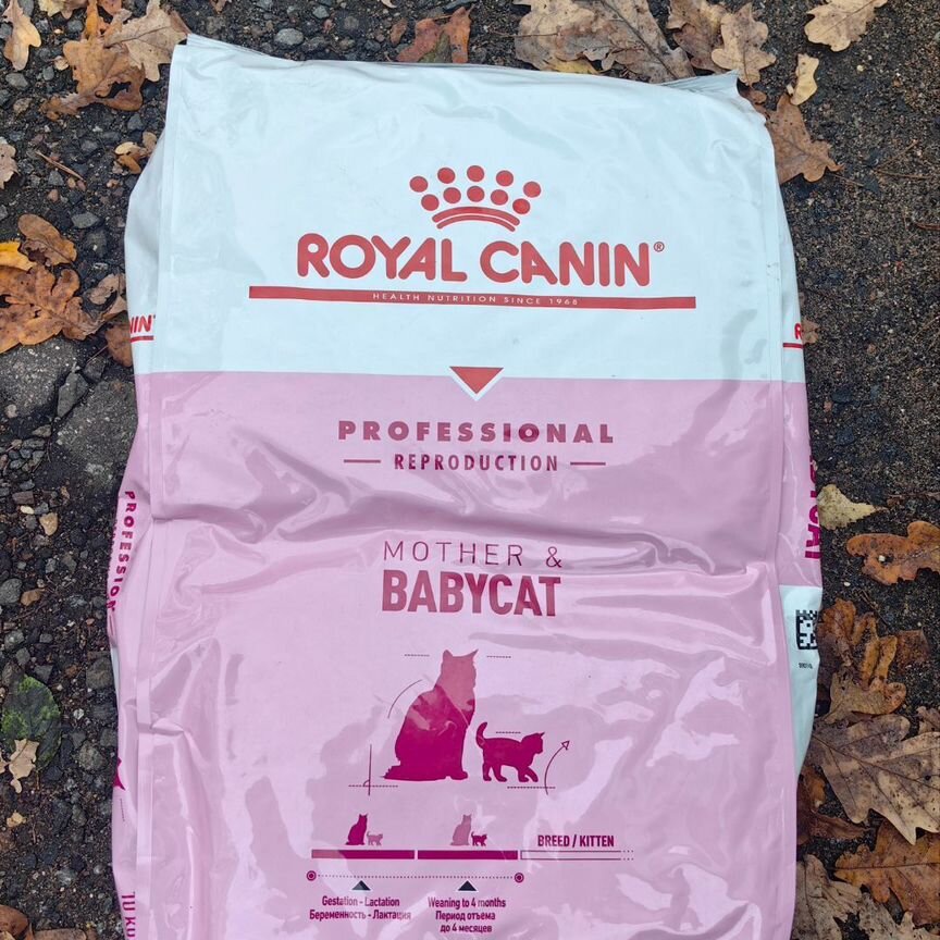 Корм для котят 10 кг royal canin