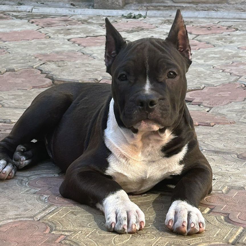 Мальчик в тяжелом типе