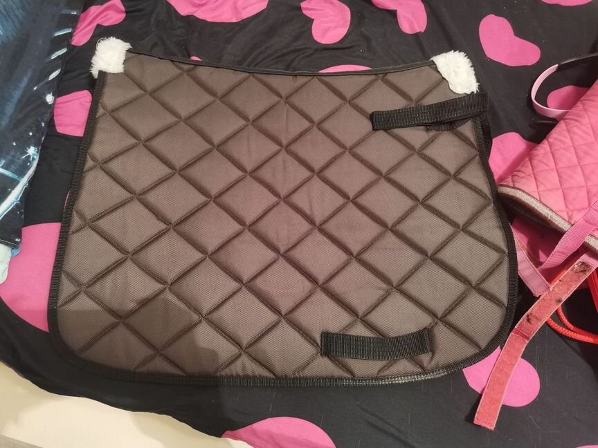 Вальтрап для лошади