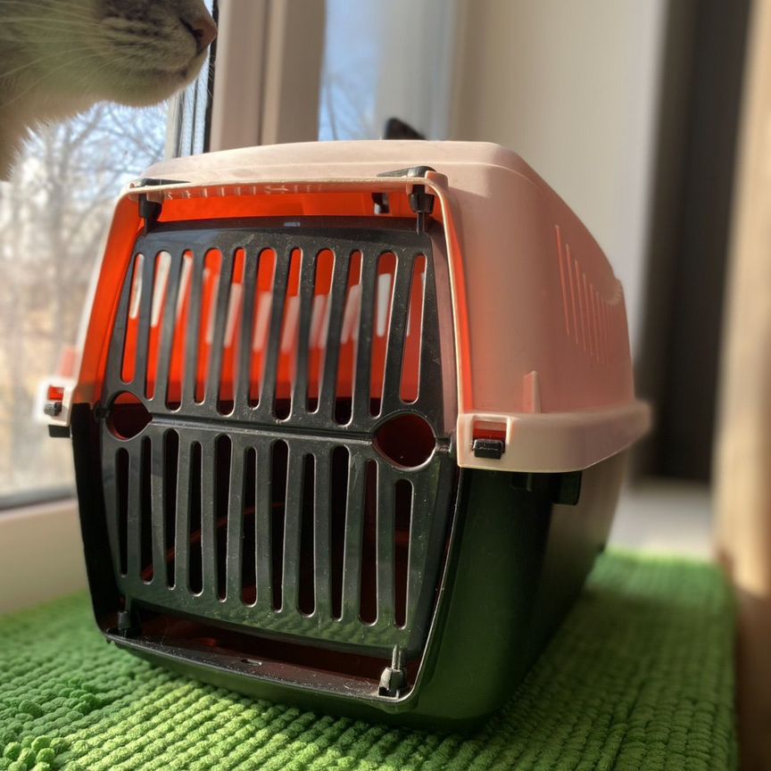 Переноска для кошек бу