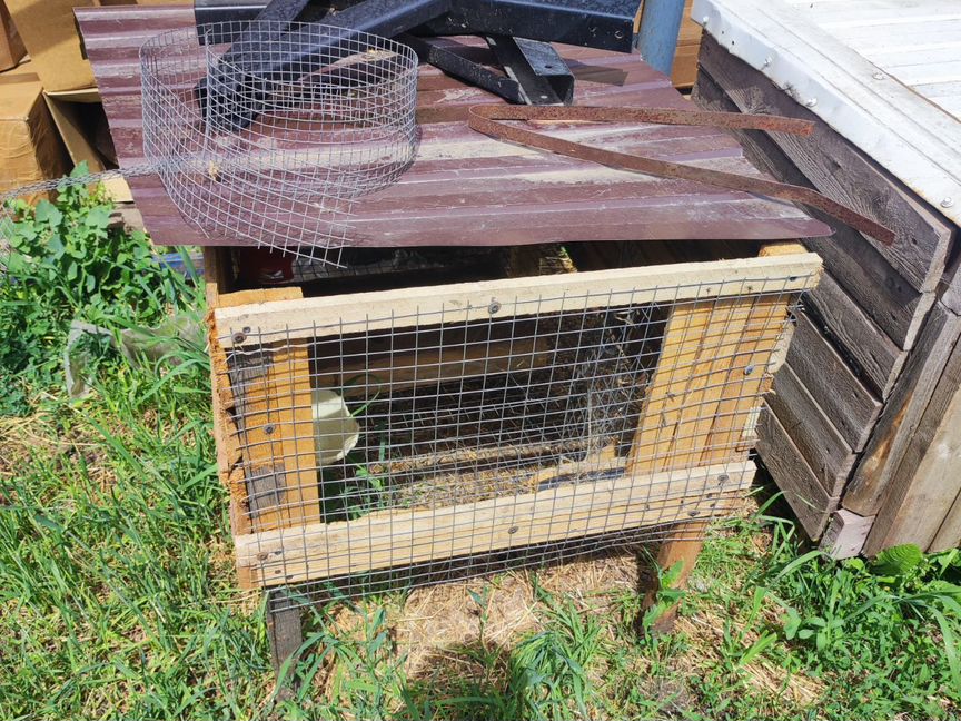Клетка для домашнего кролика